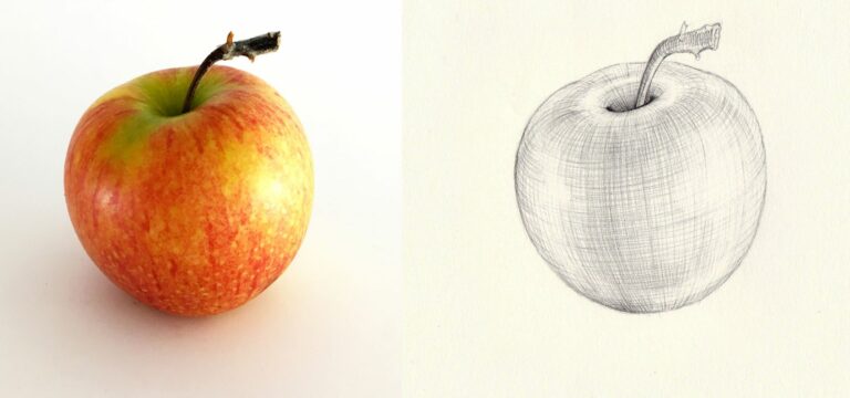 Jak nakreslit: Jablko + video tutoriál · Výuka Kresby