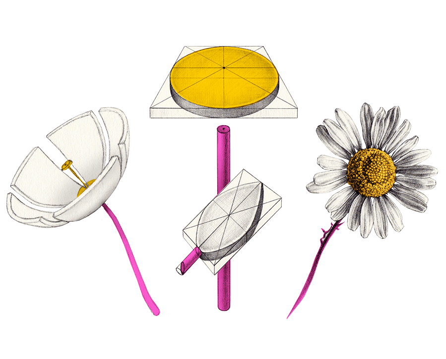 Online kurzy · Výuka Kresby