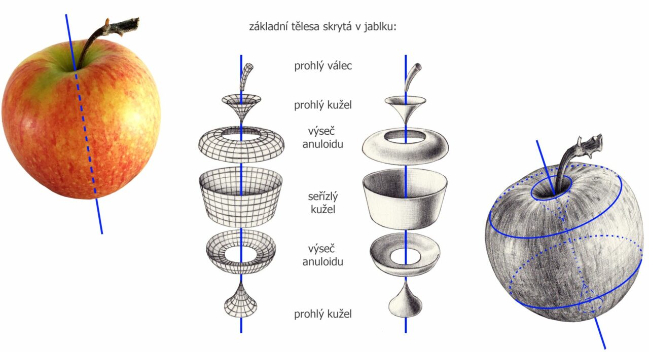 Jak nakreslit: Jablko + video tutoriál · Výuka Kresby