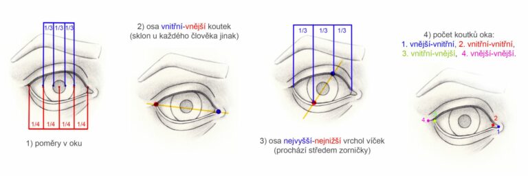 Jak nakreslit: Oko · Výuka Kresby