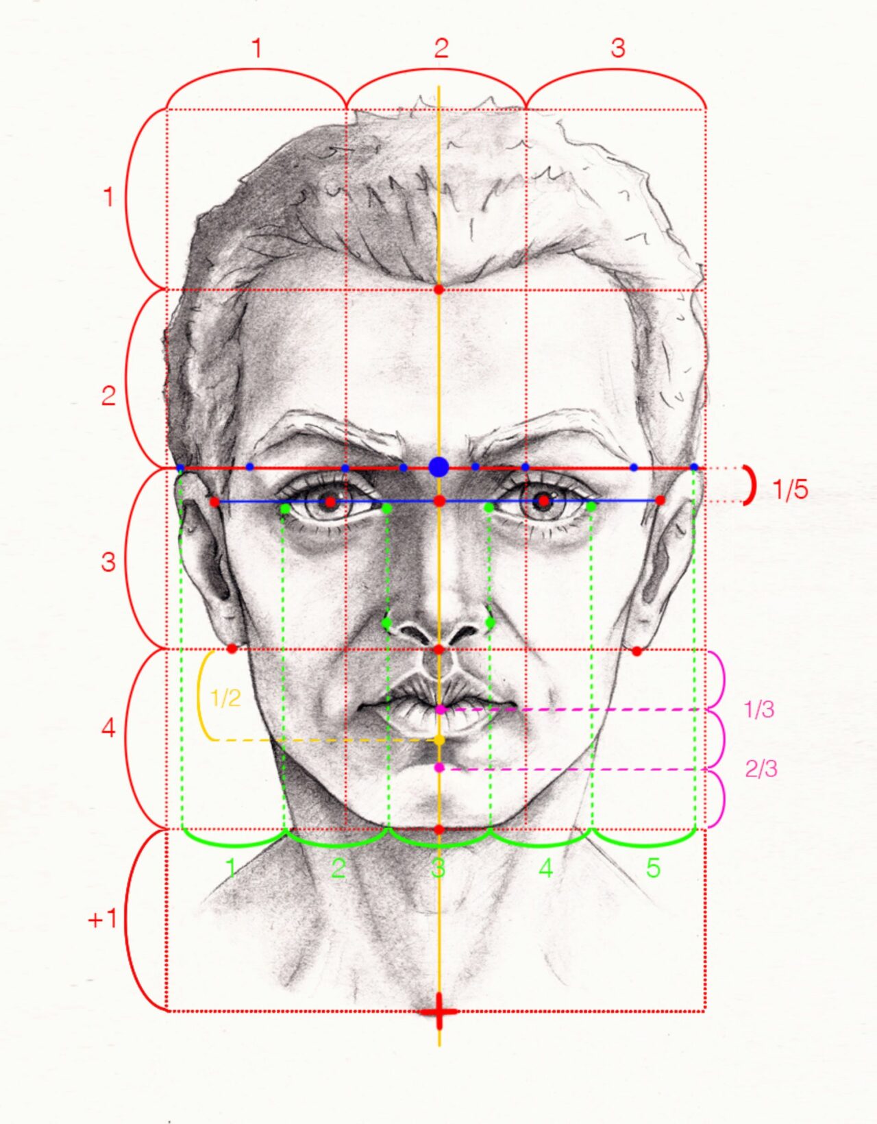Jak kreslit portrét: Kánon · Výuka Kresby