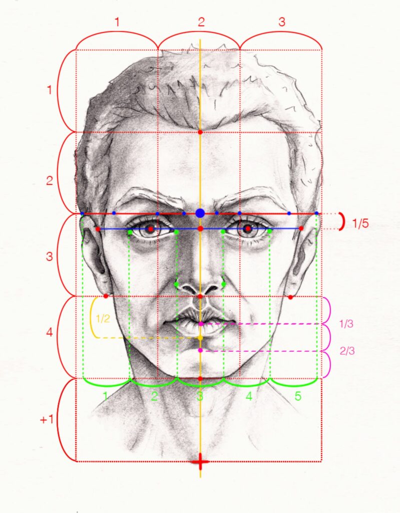Jak kreslit portrét: Kánon · Výuka Kresby